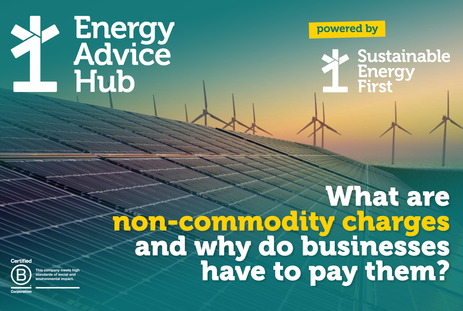 What are non-commodity charges and why do businesses have to pay them ...